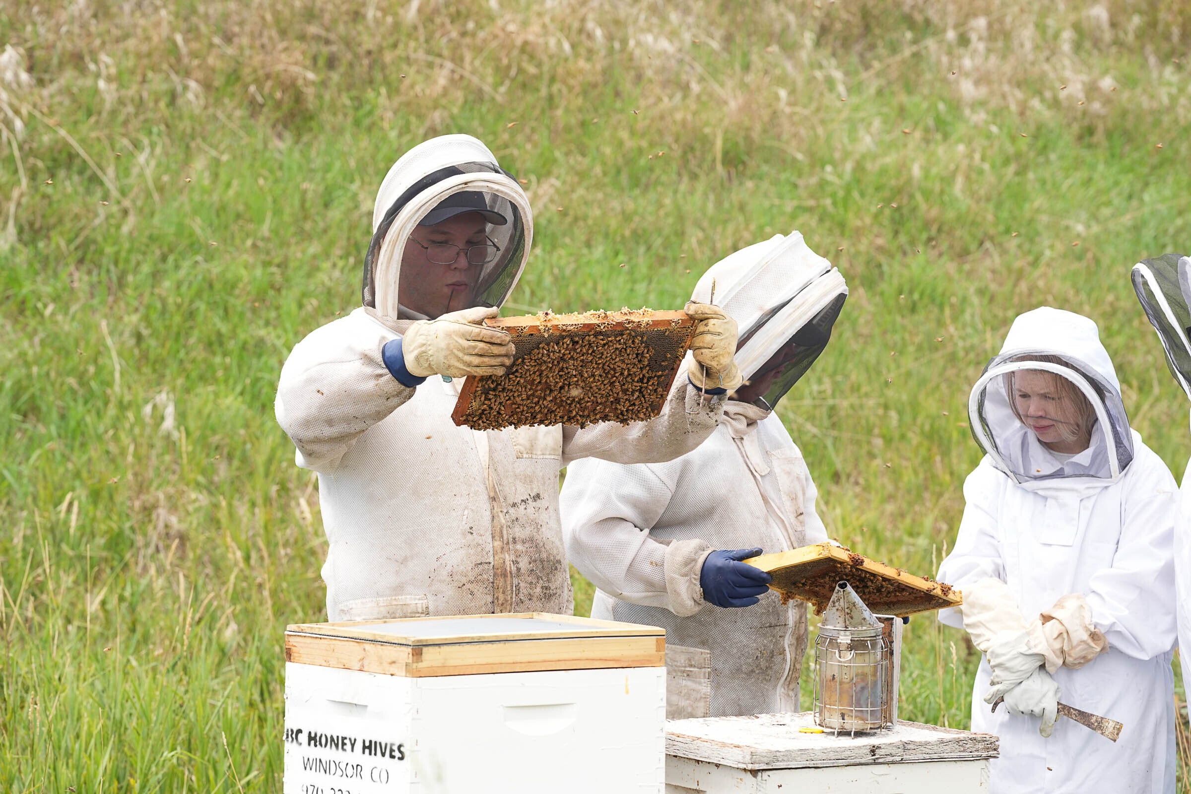 Tour - Apiary Experience (May 17, 2025) | BC Honey Hives
